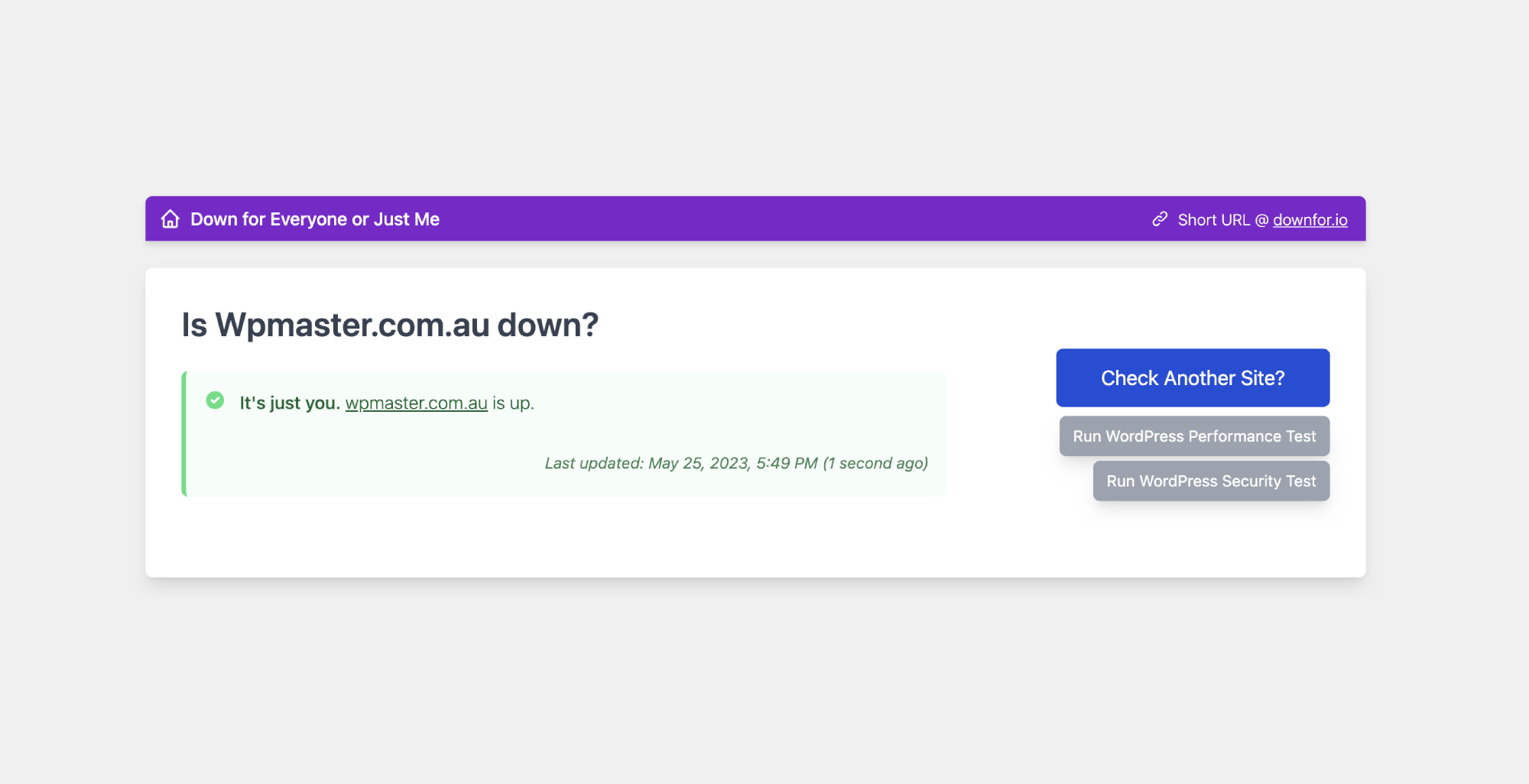 What To Do If Your WordPress Website Is Down - WP Master